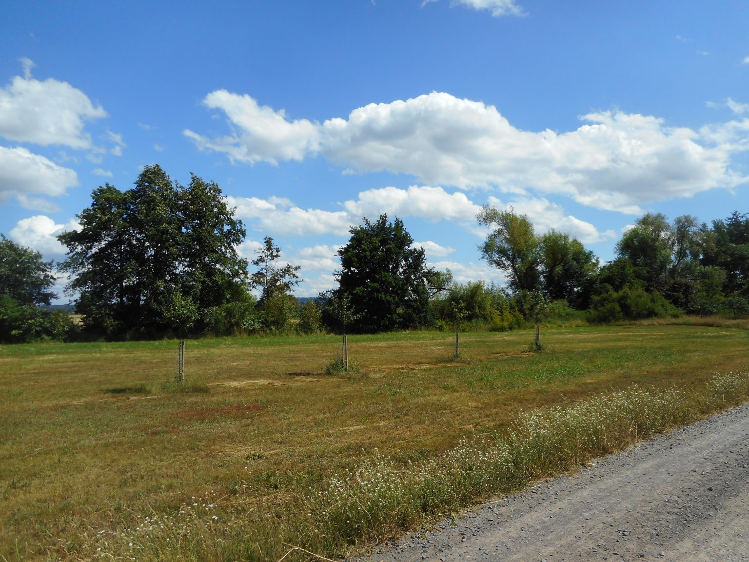 Renaturierung der Semme